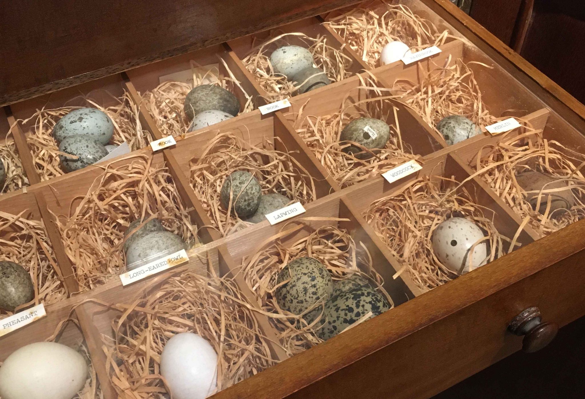 Permanent Displays – Cuckfield Museum